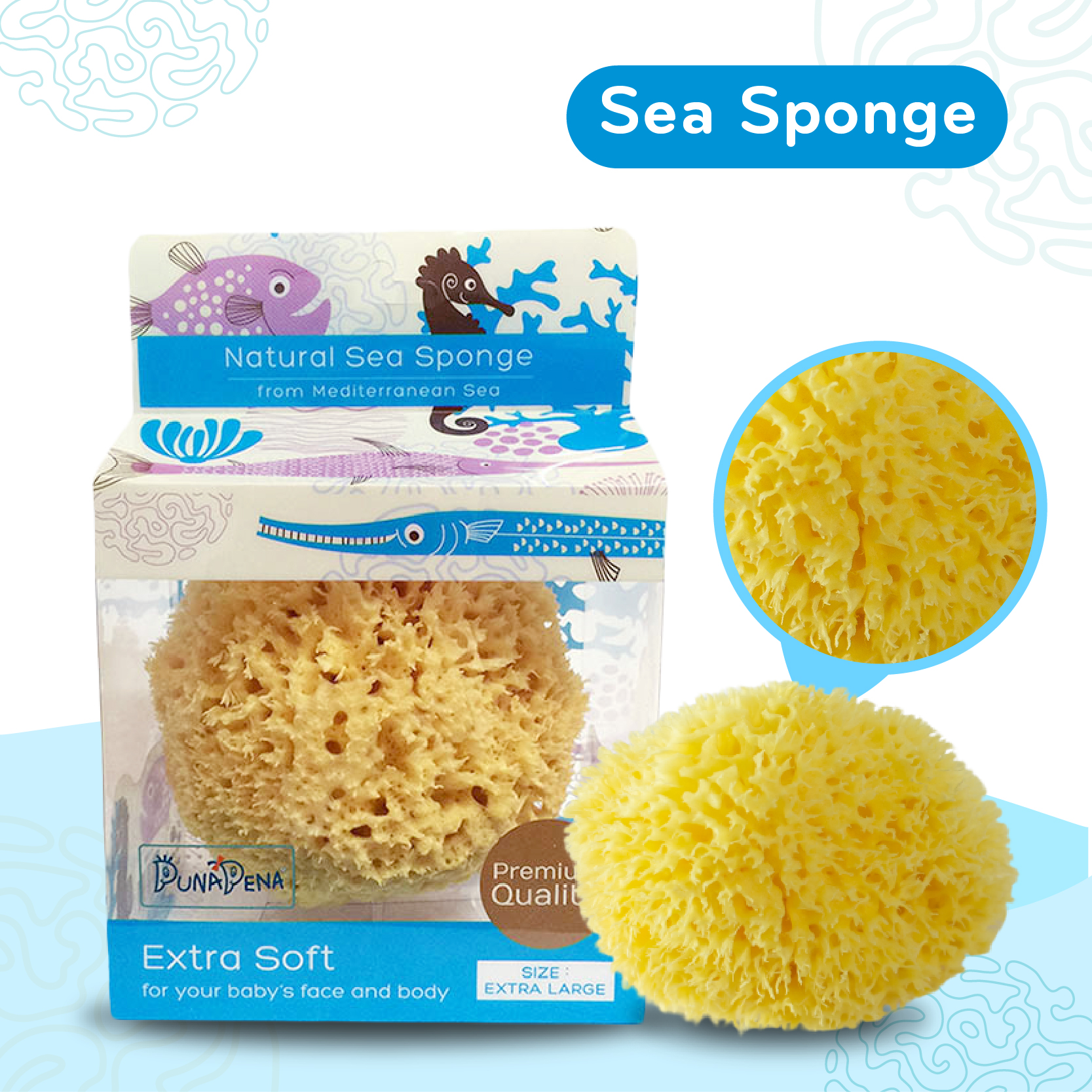 Punapena | Sea Sponge – ฟองน้ำทะเล จากธรรมชาติแท้ 100% – Pacific Point